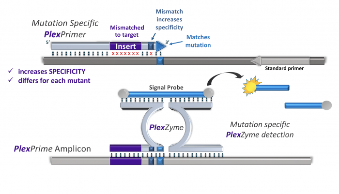 SpeeDx | PlexPrimePlexZyme® Patented Priming Technology