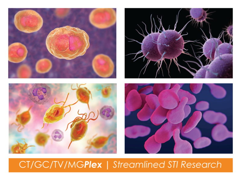SpeeDx | Sexually Transmitted Infections | Portfolio